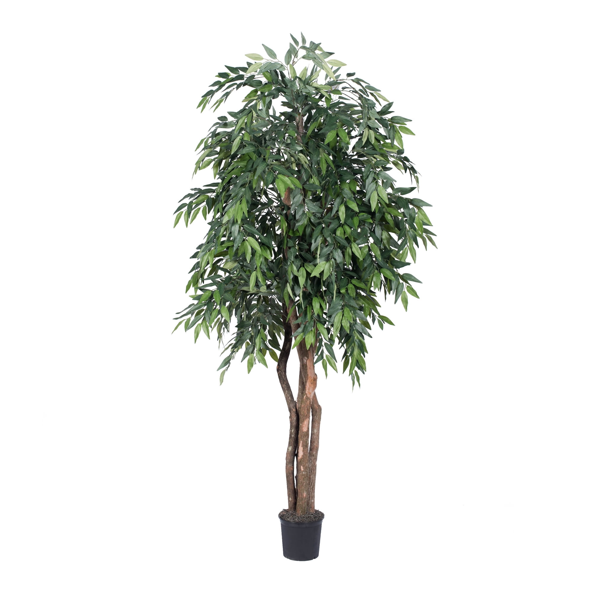 Vickerman Everyday 6' Indoor Artificial Green Smilax Executive Tree ...