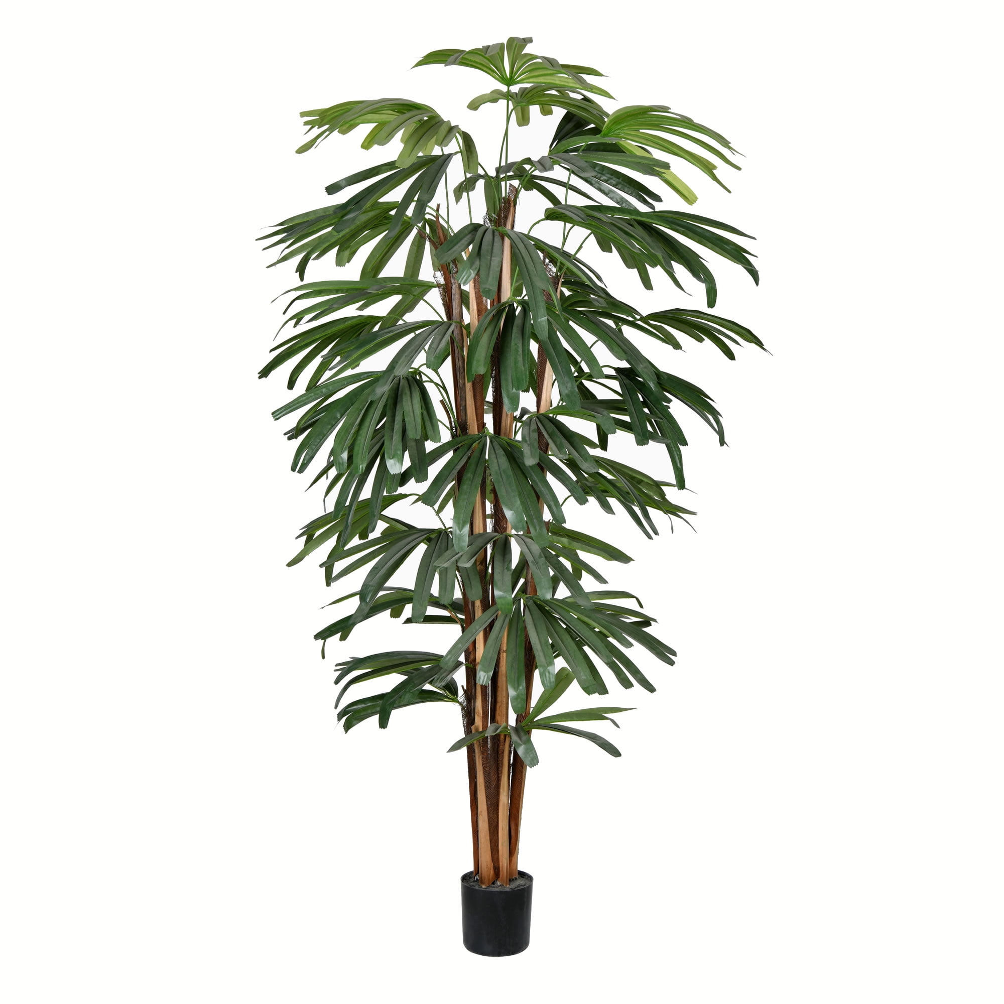 Vickerman Everyday Artificial Rhapis Tree 5 Foot Tall - Realistic ...