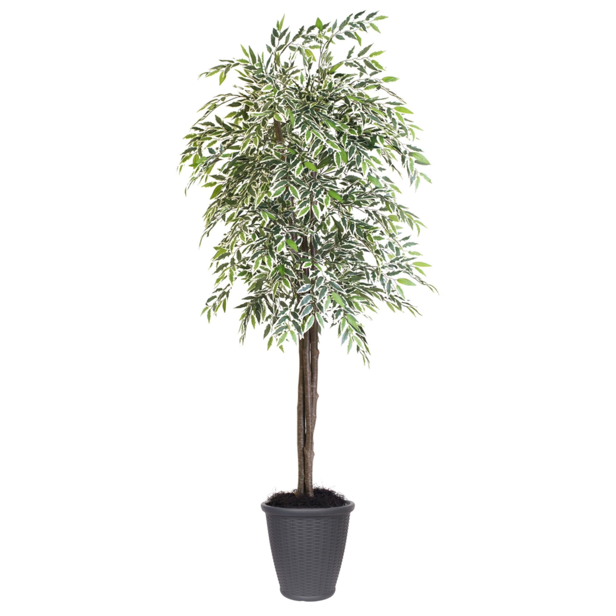 Vickerman TDX1360-RG 6 ft. Varigated Smilax Deluxe Round Tree in ...