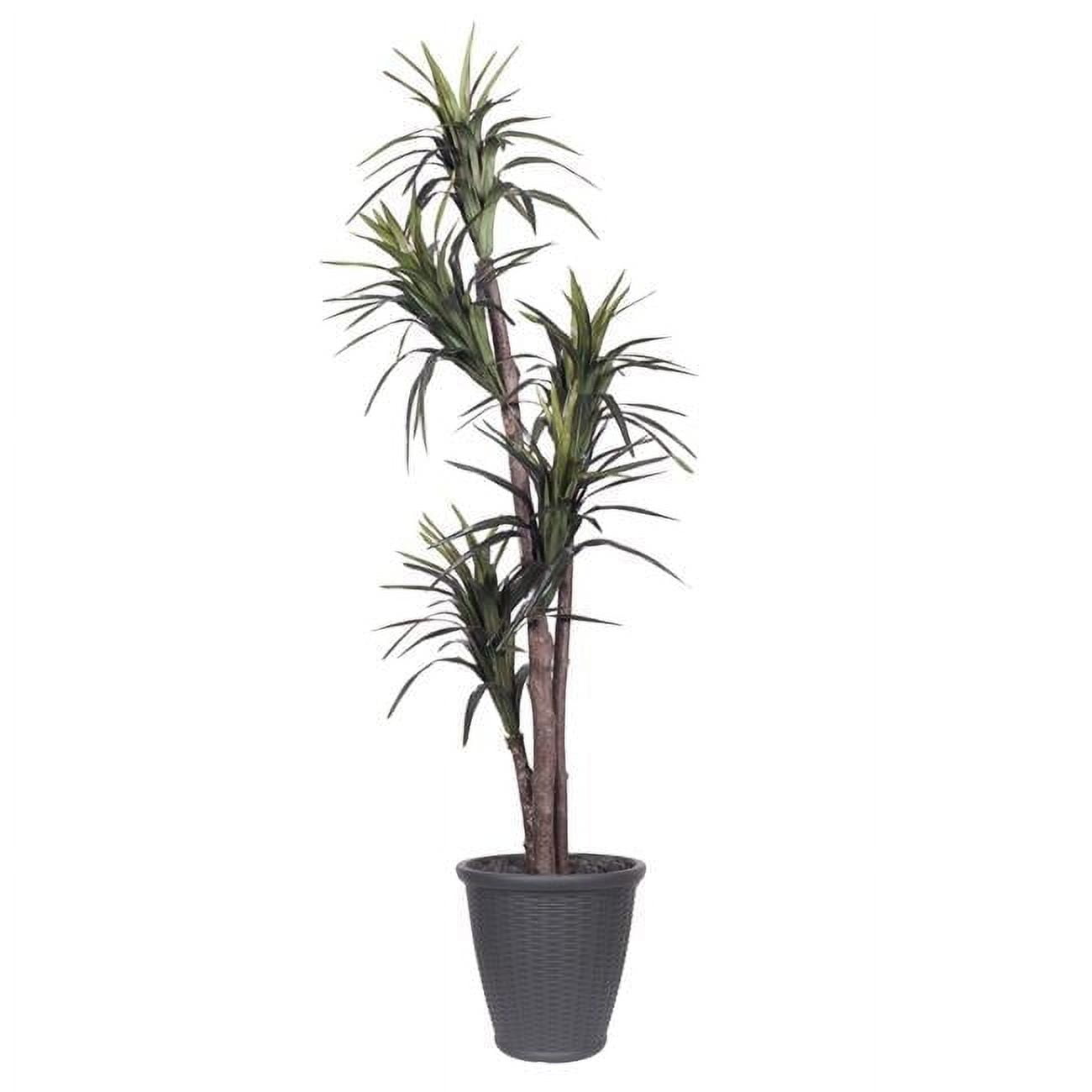 Vickerman TEX1160-RG 6 ft. Marginata Executive Tree in Round Grey ...