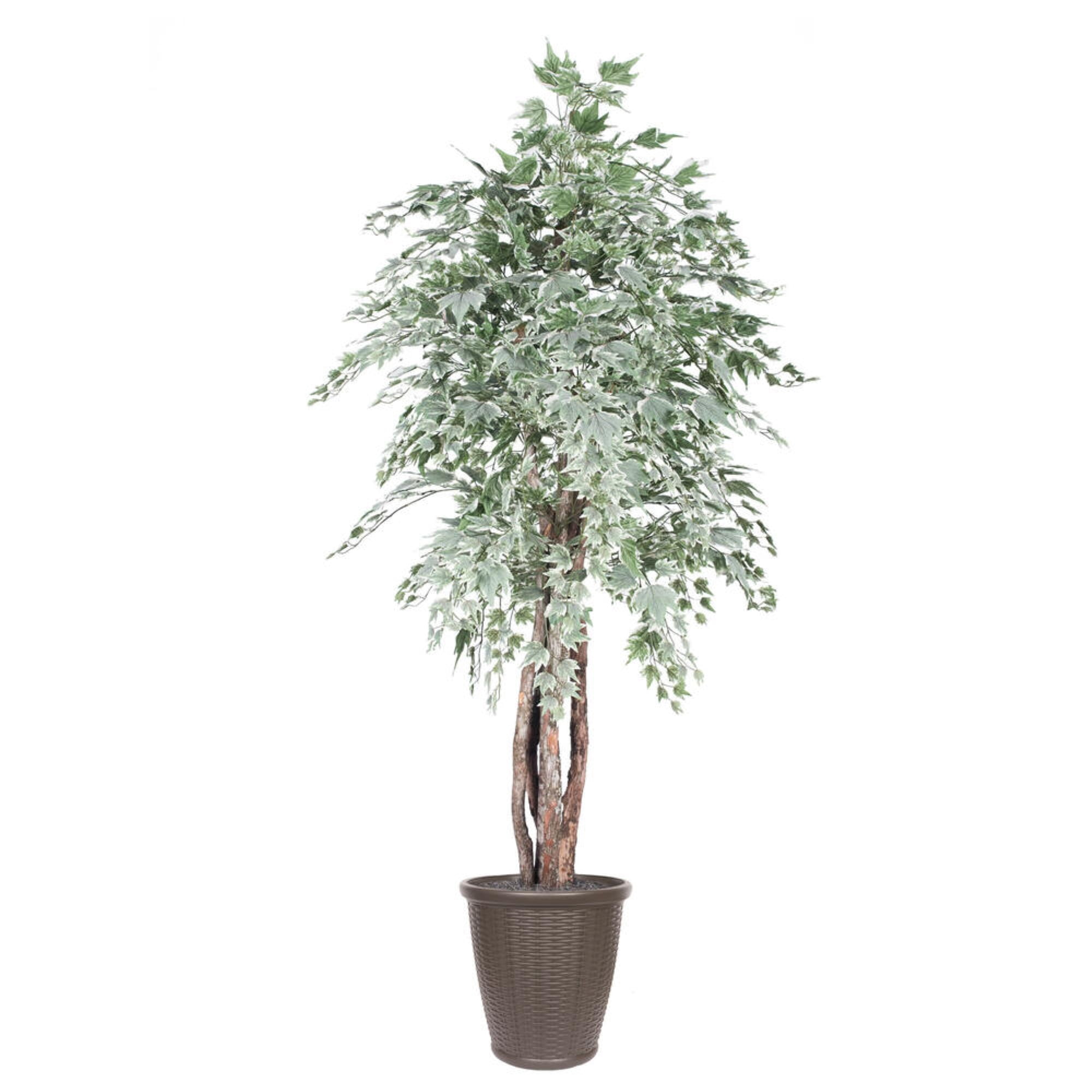 Vickerman TEX1660-RB 6 ft. Silver Maple Executive Round Brown Container ...