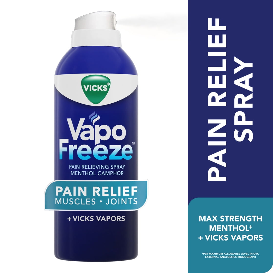 Vicks VapoFreeze Topical Pain Relief Spray, Menthol Pain Reliever for ...