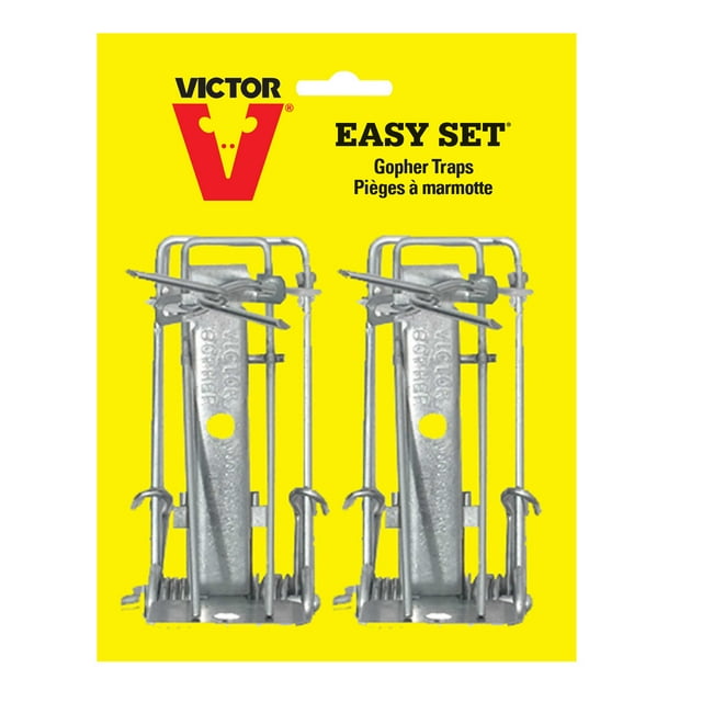 Victor Easy Set Gopher Trap, 2-Pack, Galvanized Steel, For All Soil ...