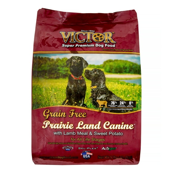 Victor Dog Food in Pets Shop By Brand - Walmart.com