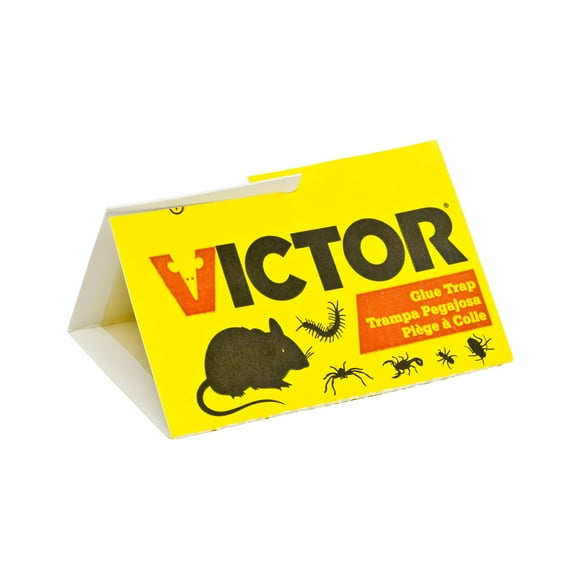 Victor Mouse Traps in Mouse - Walmart.com