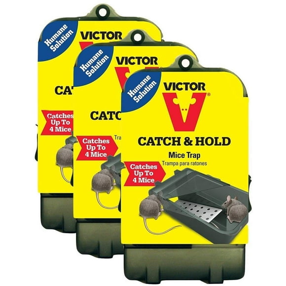 Victor Mouse Traps in Mouse - Walmart.com