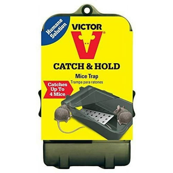 Victor Mouse Traps in Mouse - Walmart.com