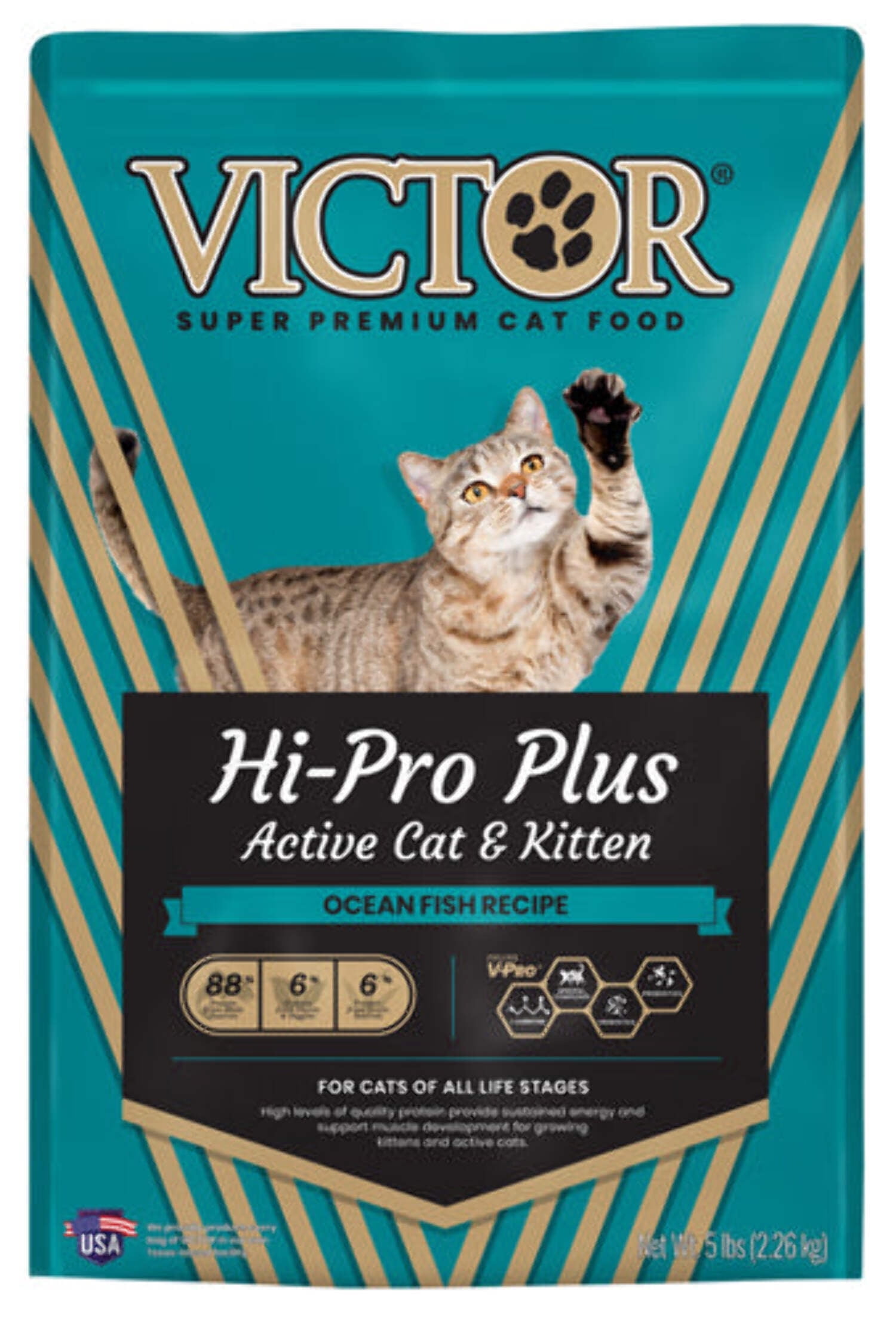 Victor Super Premium Dog Food Hi-Pro Plus Active Cat Kitten Dry Cat ...