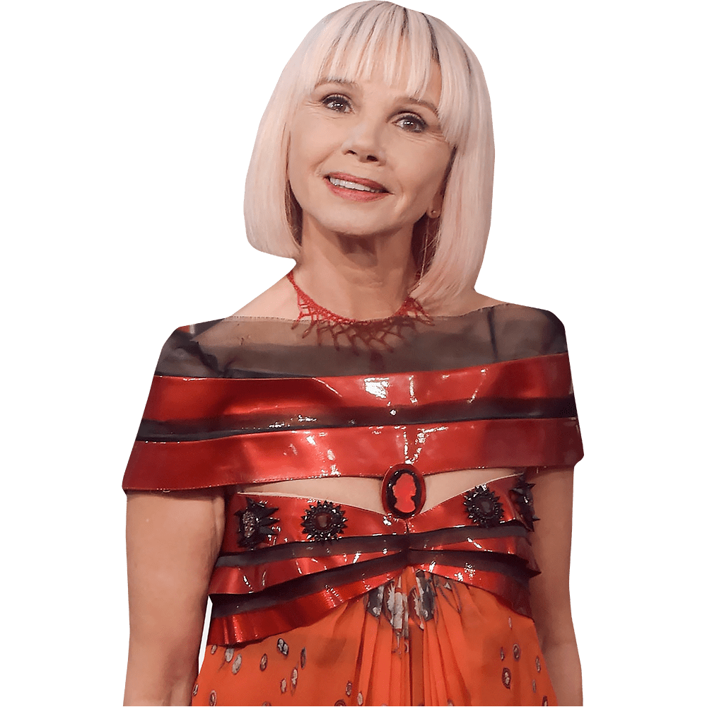 Victoria Abril (Ombre Dress) Half Body Buddy Cutout - Walmart.com
