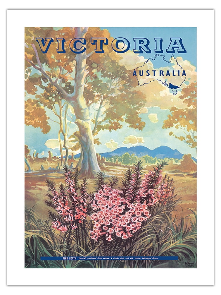 Victoria Australia - Pink Heath Flower - Floral Emblem of Victoria ...