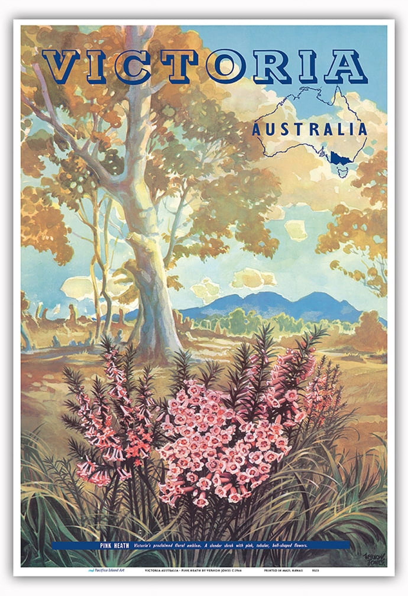 Victoria Australia - Pink Heath Flower - Floral Emblem of Victoria ...