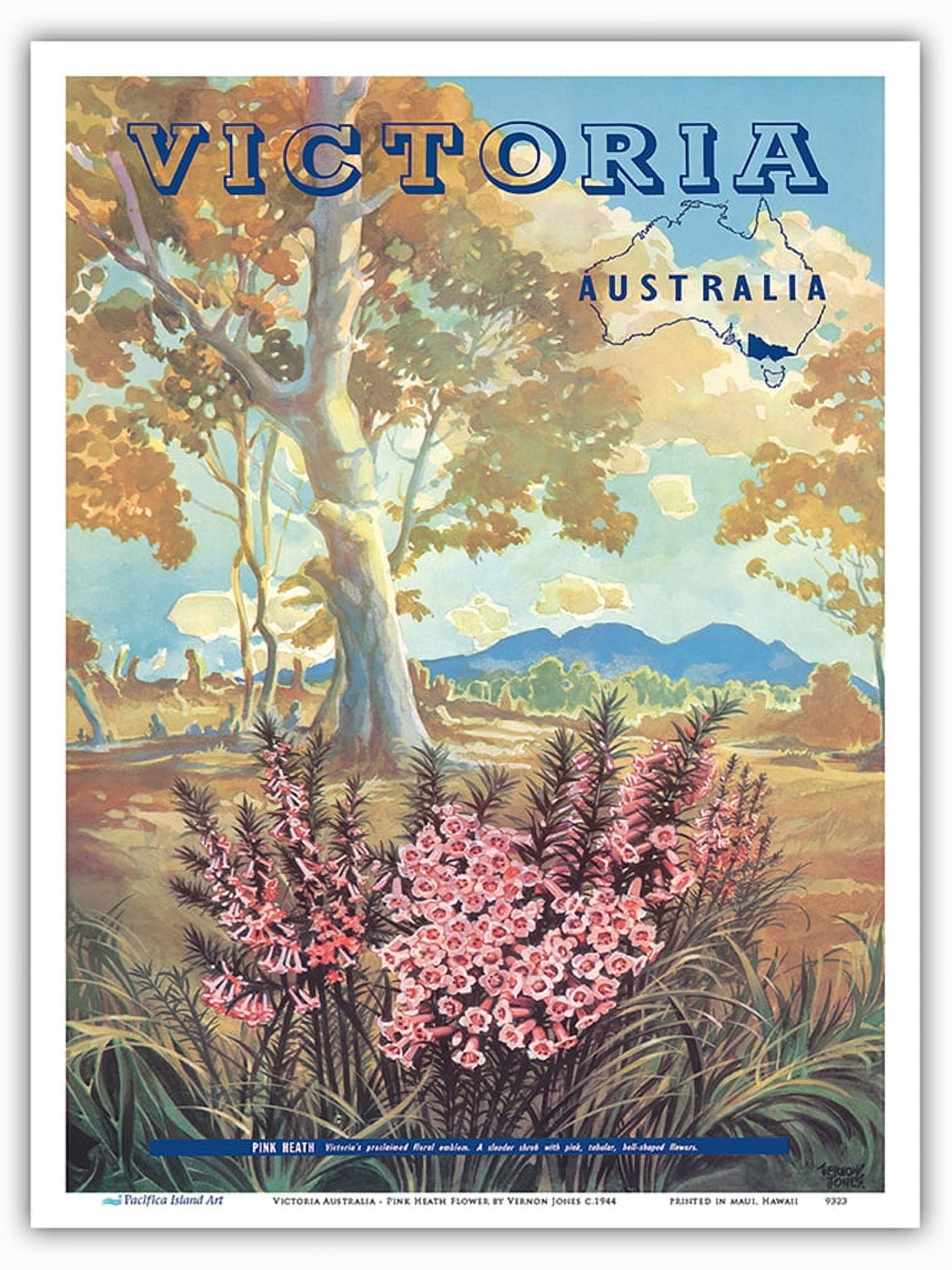 Victoria Australia - Pink Heath Flower - Floral Emblem of Victoria ...