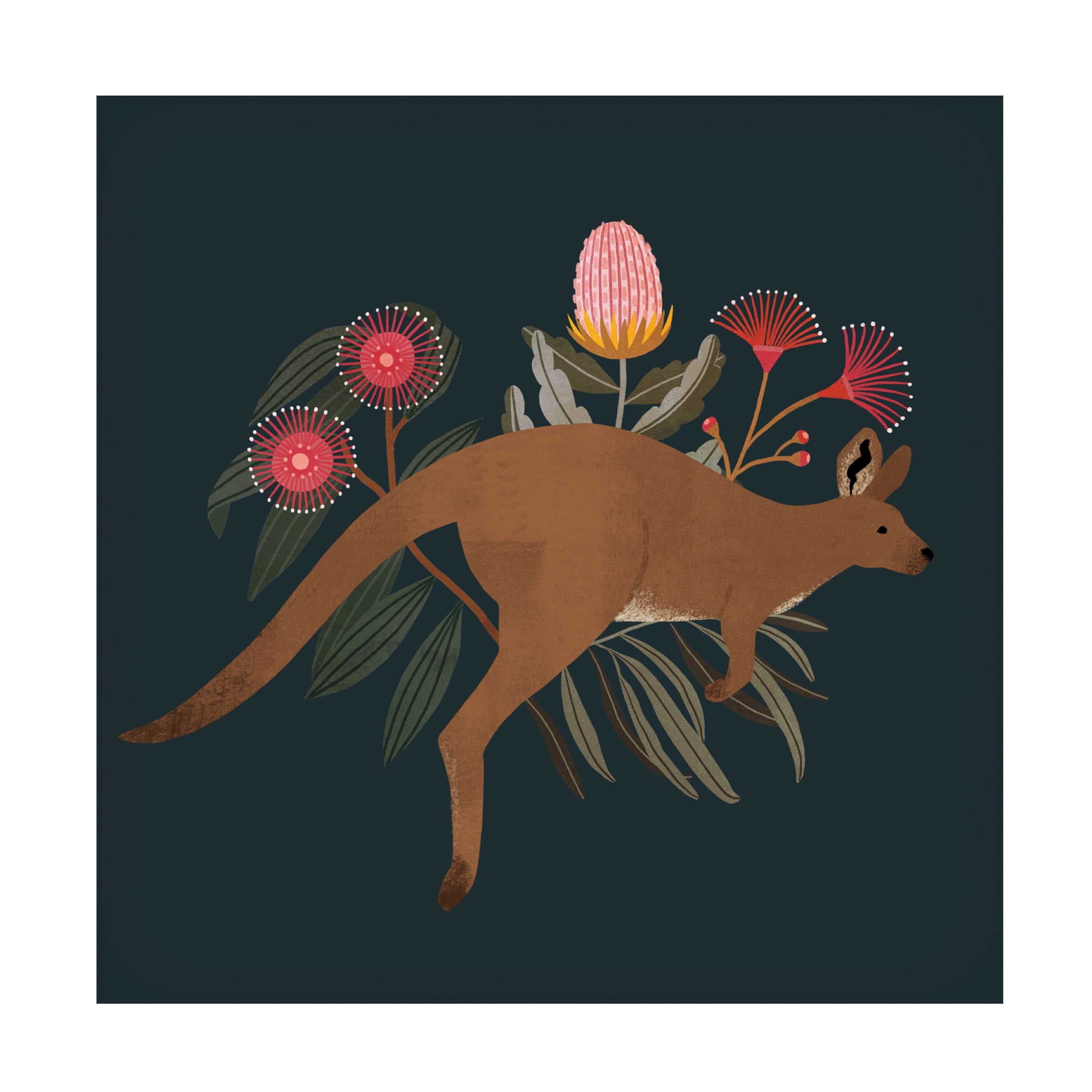 Trademark Fine Art Victoria Barnes Australian Animals III Kangaroo ...
