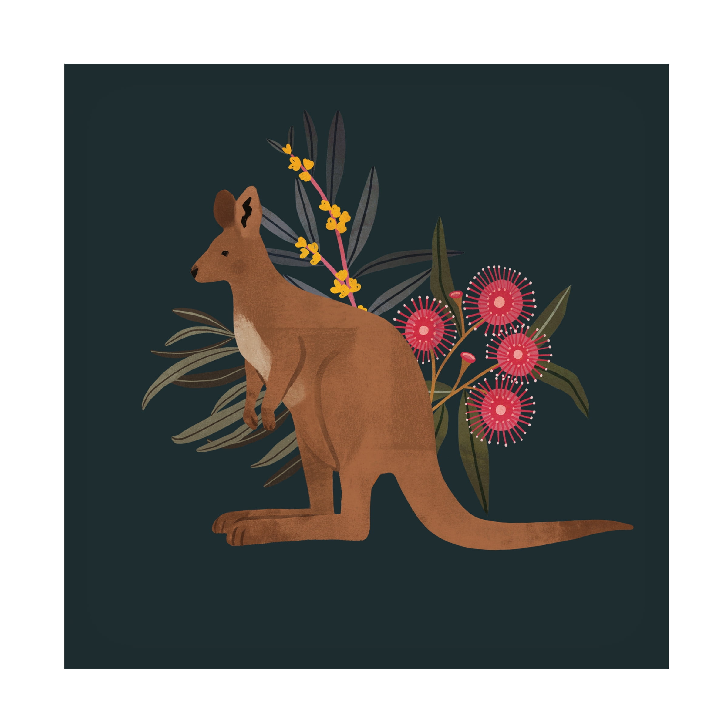 Victoria Barnes 'Australian Animals IV' Canvas Art - Walmart.com