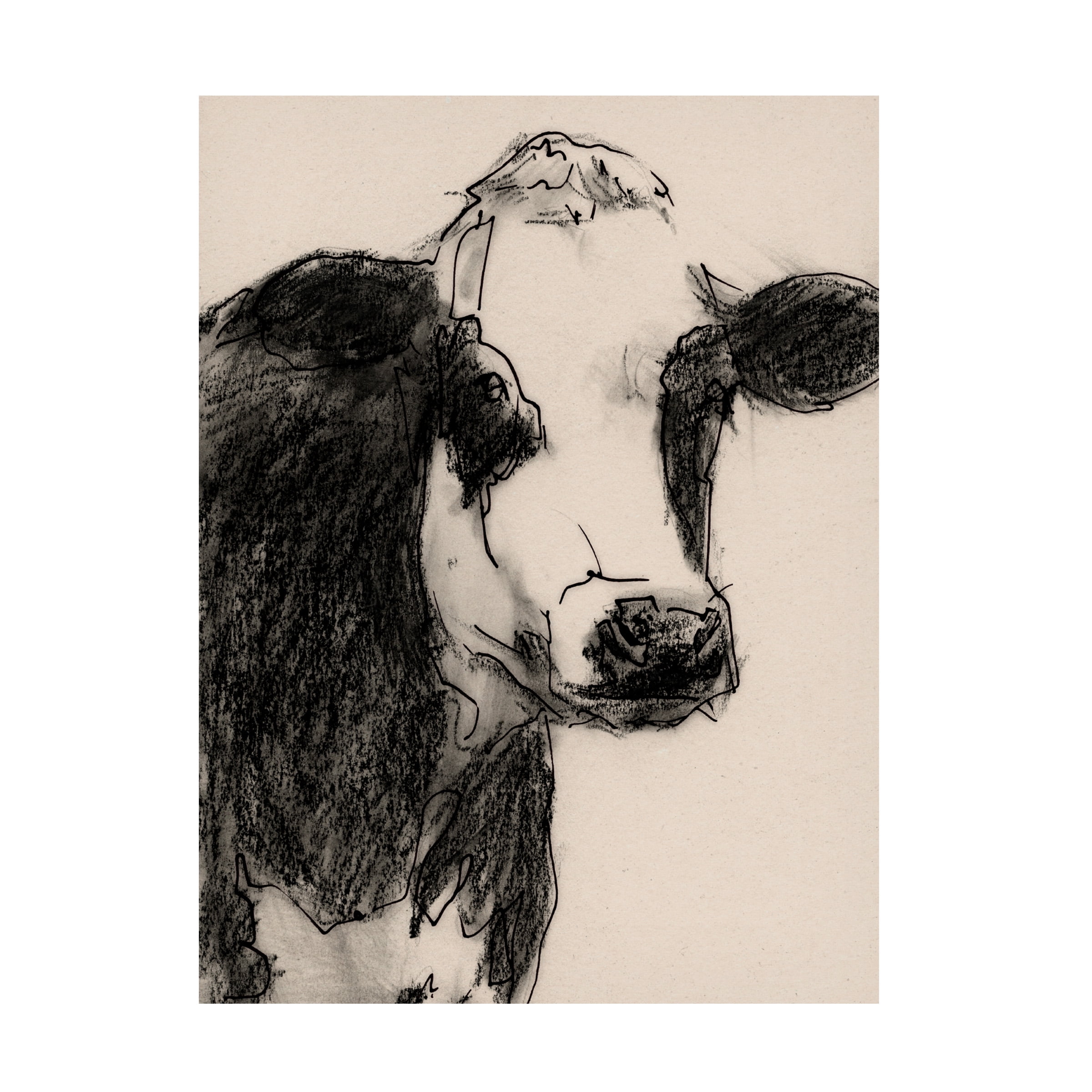 Victoria Barnes 'Cow Portrait Sketch I' Canvas Art - Walmart.com