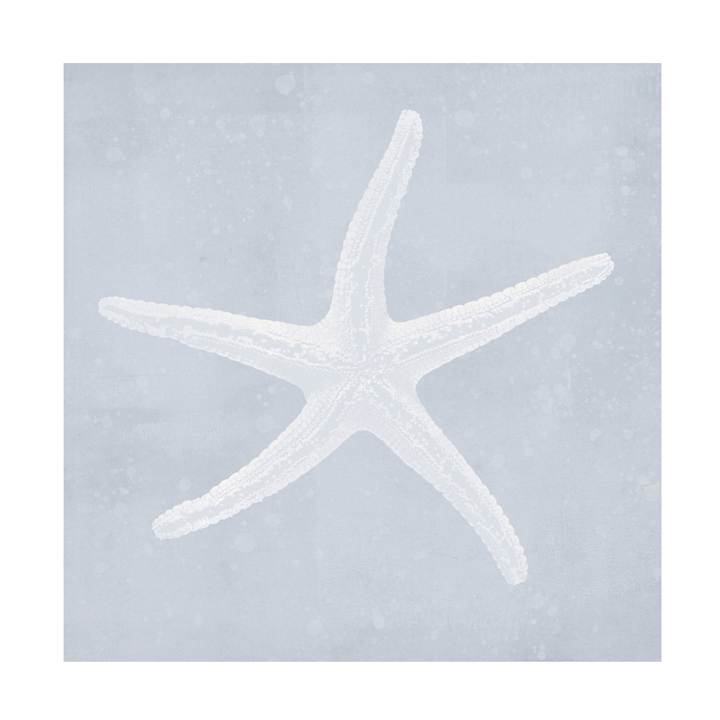 Victoria Barnes 'Tide Pool Treasures II' Canvas Art - Walmart.com