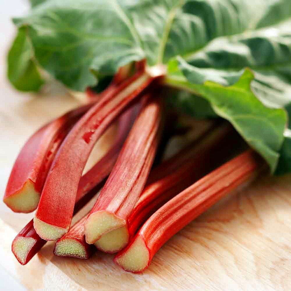 Victoria Red Rhubarb 25 Seeds-Perennial - Easy to grow - Walmart.com