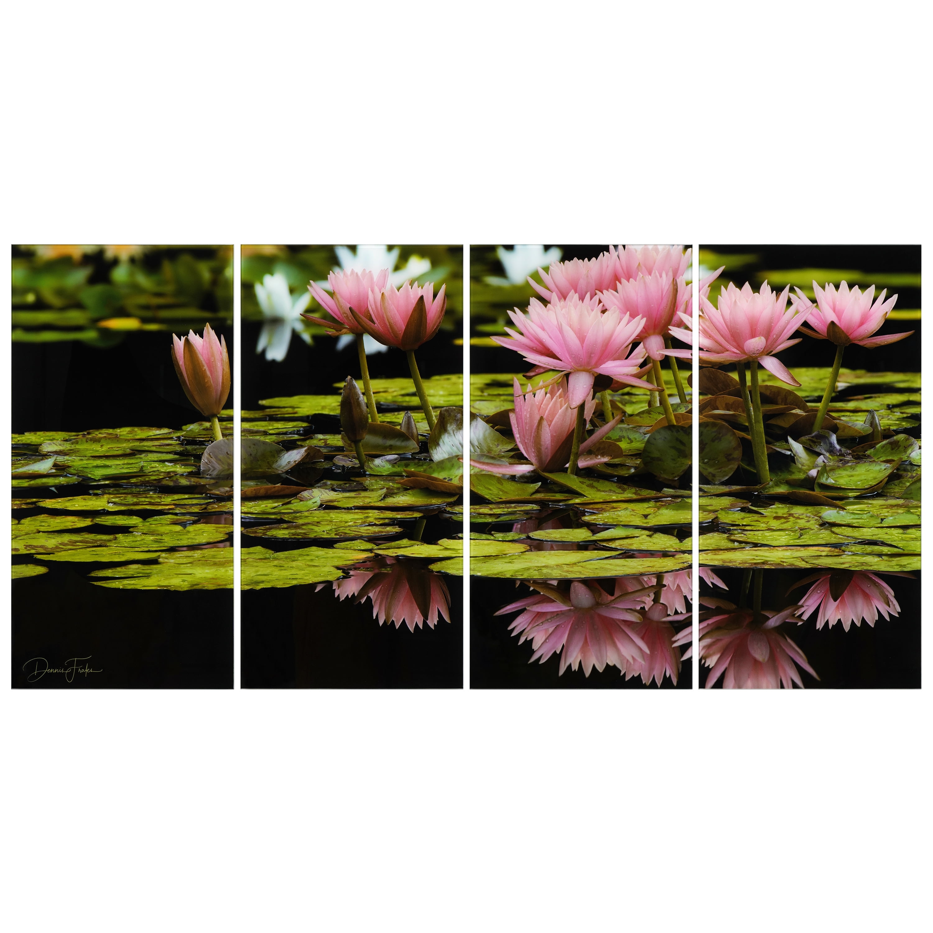 "Victoria Regia" Oversized 72"x 36" Frameless Free-Floating Reverse ...