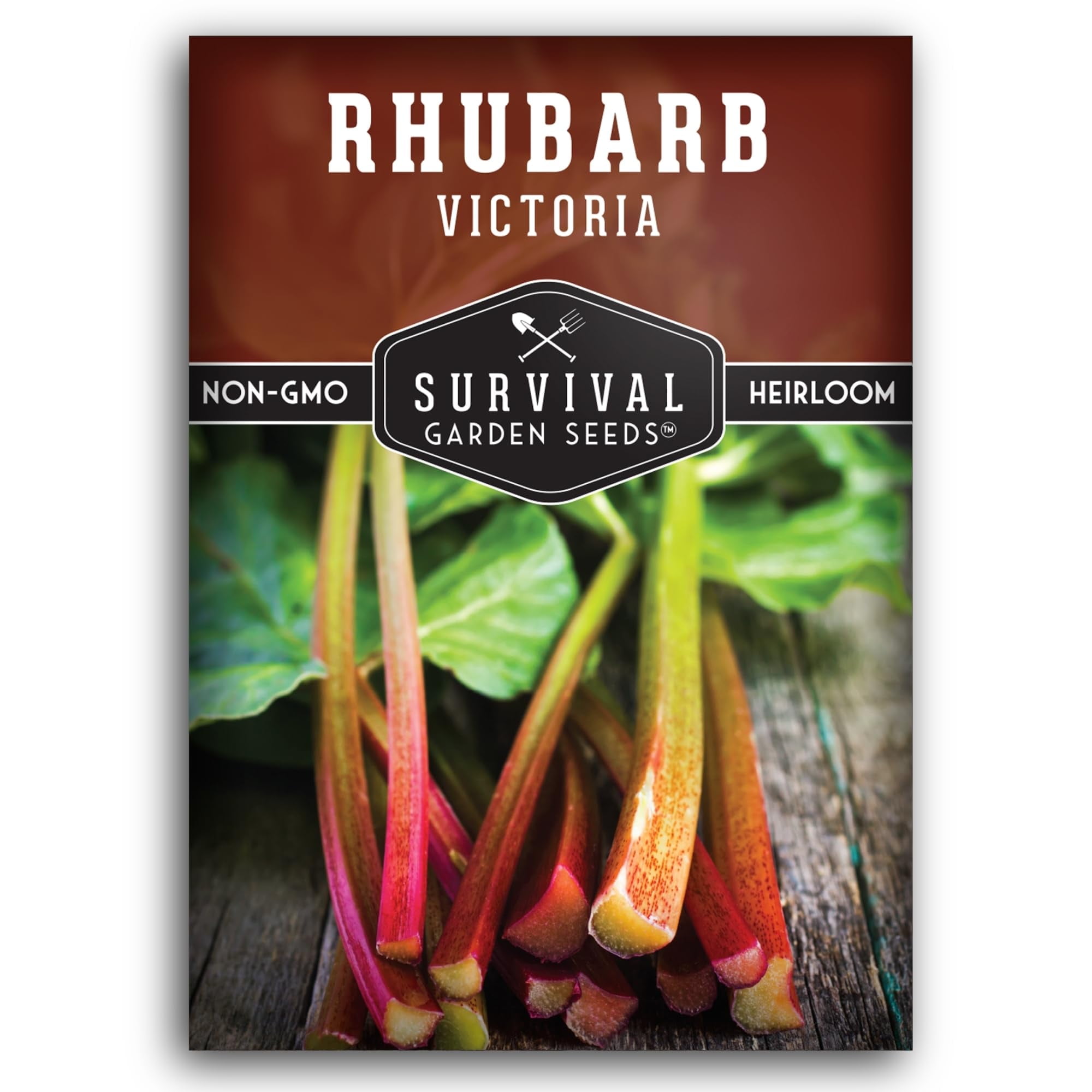 Victoria Rhubarb Seeds for Planting - Grow Cold-Tolerant Perennial ...