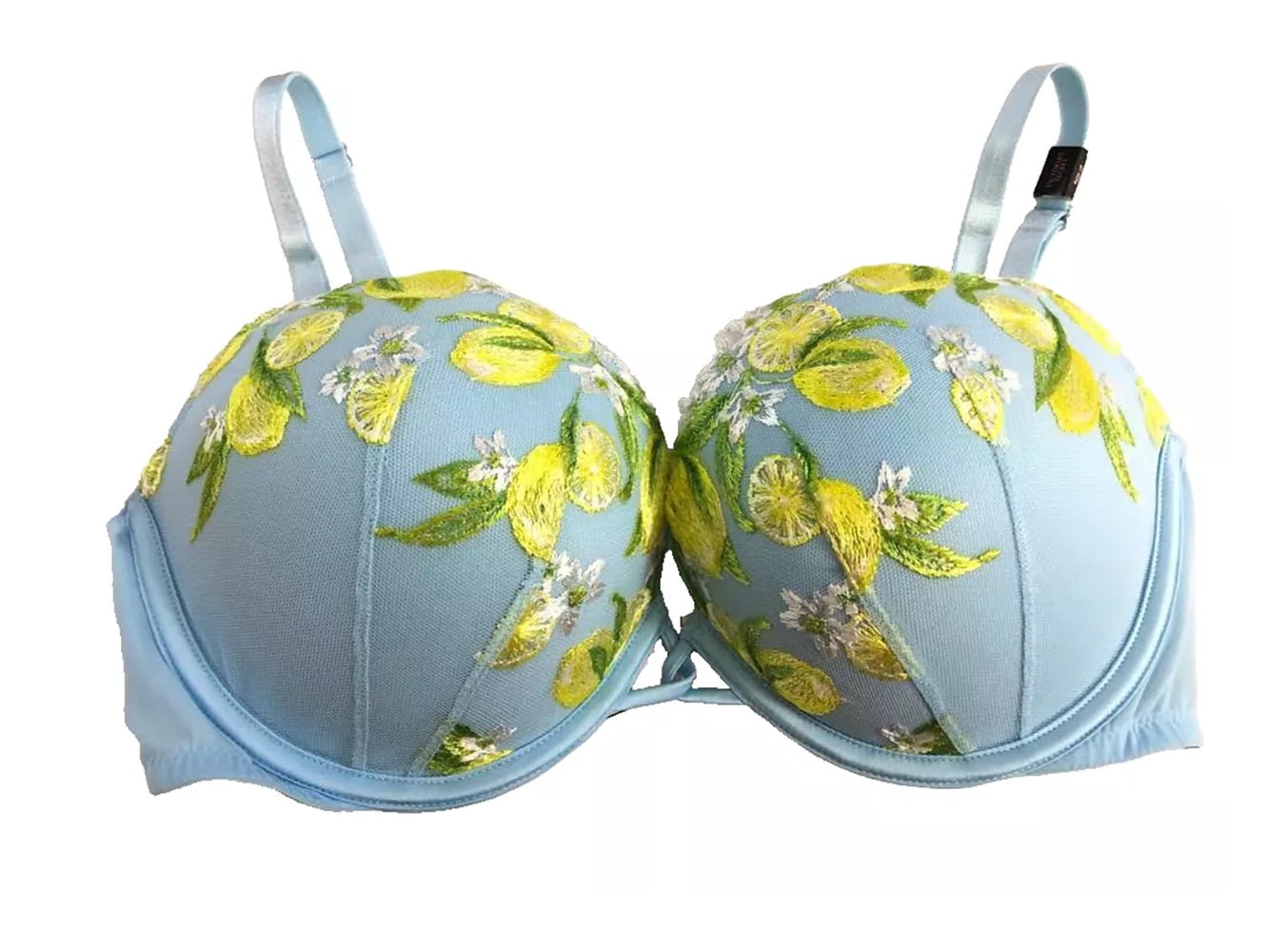 Victoria's Secret Dream Angels Embroidered Push Up Bra Blue Floral Lace ...