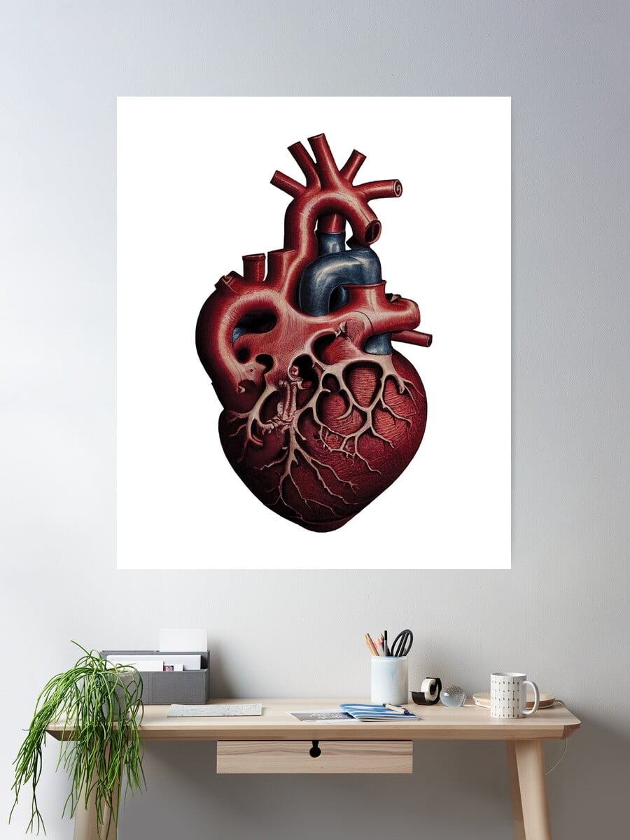 Victorian Heart Anatomy Valentines Illustration For Medical Nerds And ...