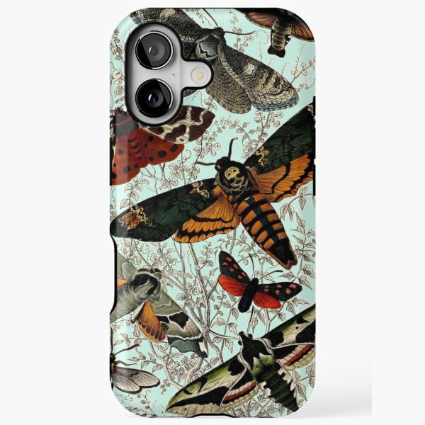 Victorian Moth Insects Illustration Vintage Entomology Art Case with ...
