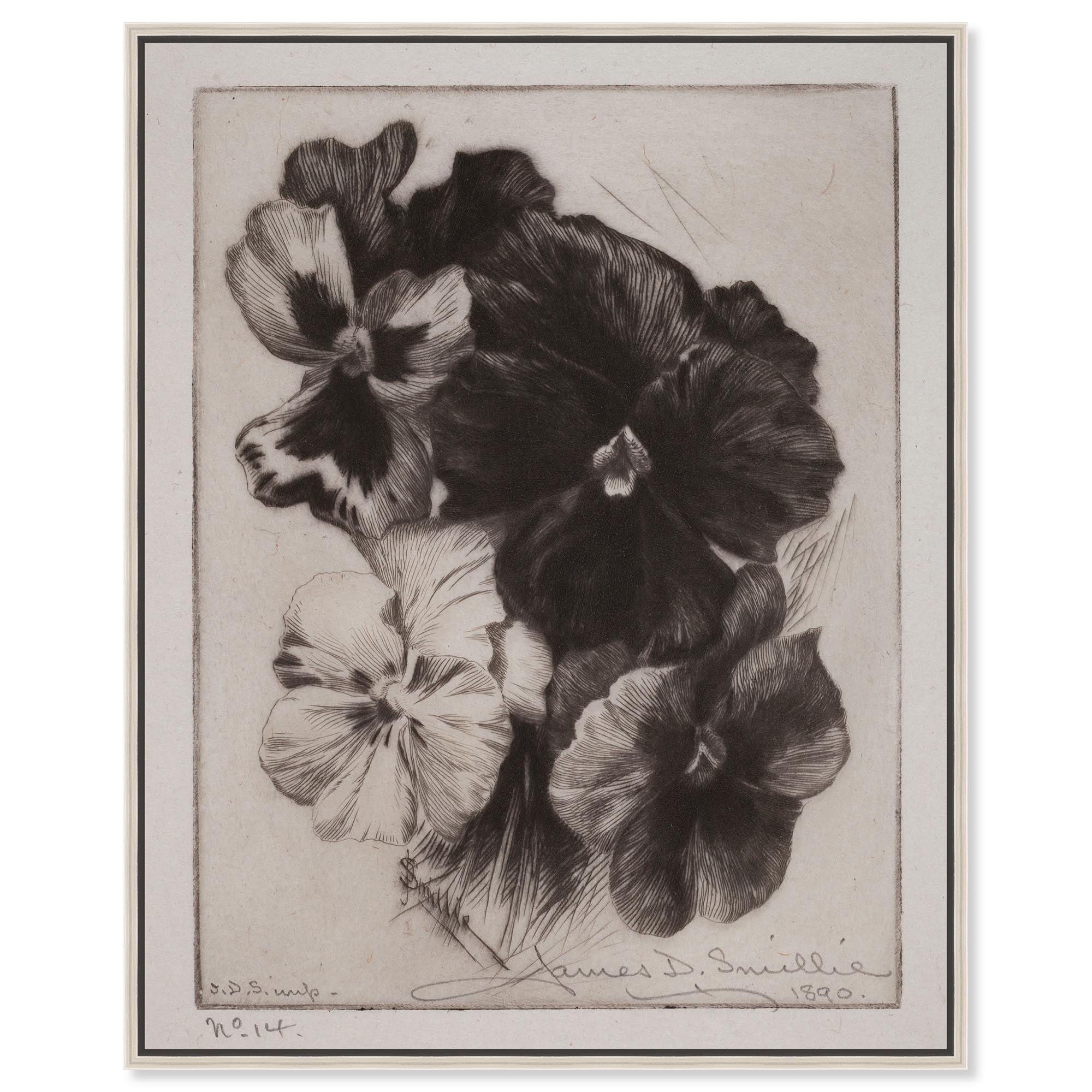 Victorian Pansies Canvas Print Vintage Art by Art Remedy, Silver Frame ...