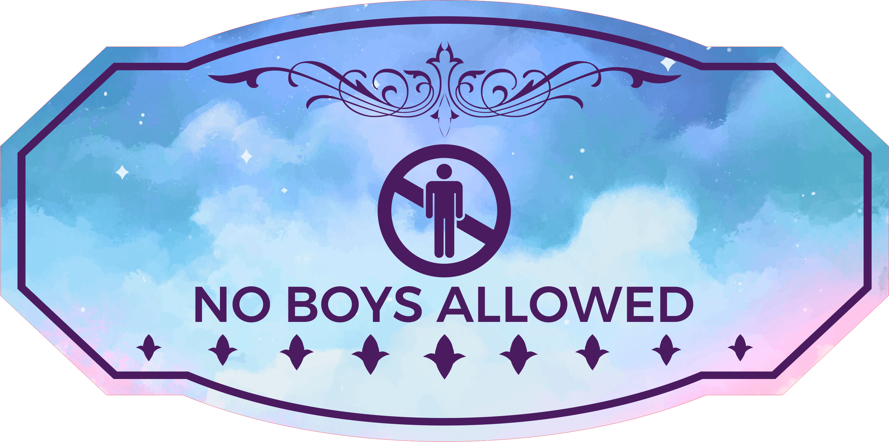 Victorian Plus No Boys Allowed Door or Wall Sign | Colorful Business ...