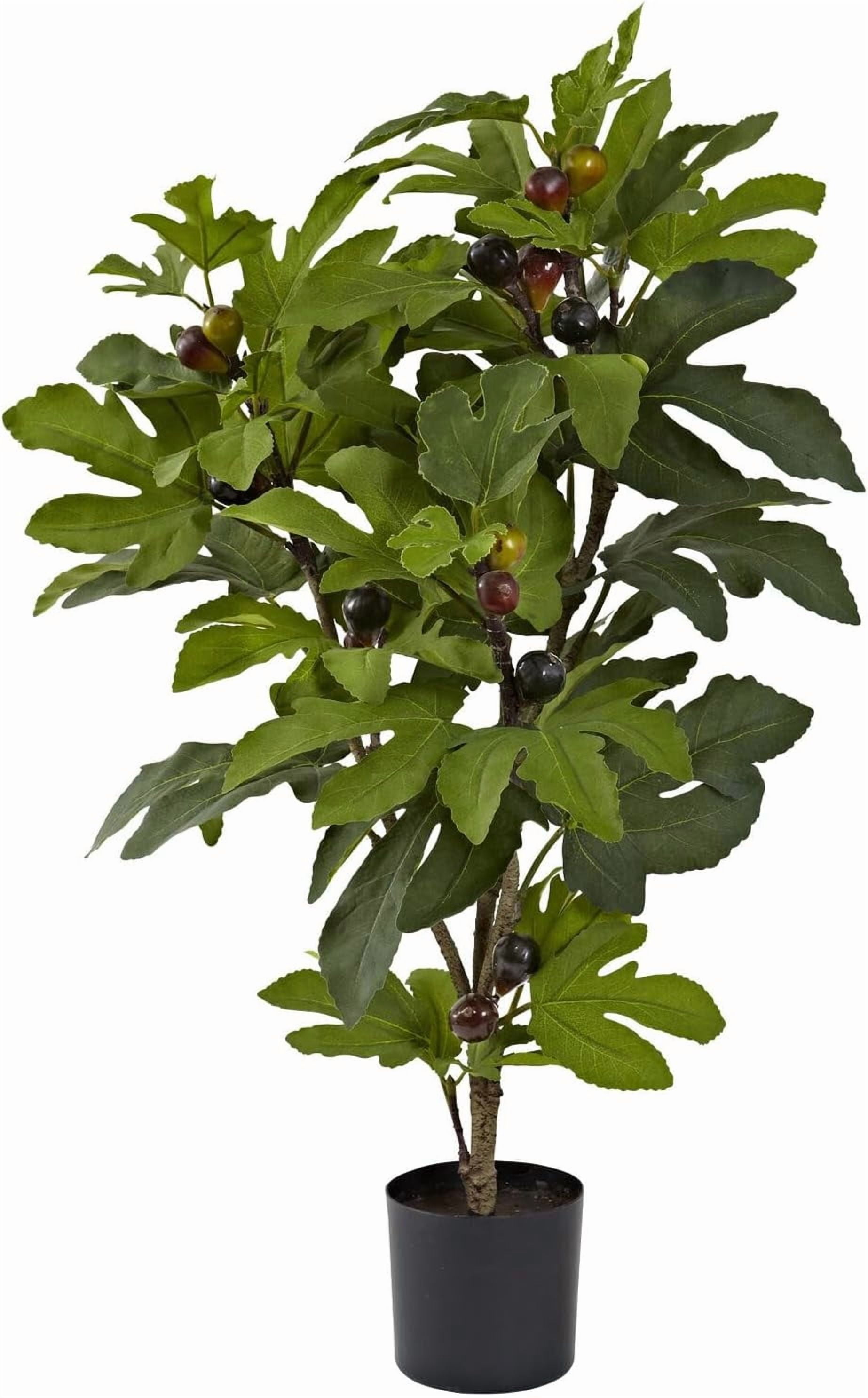 Victorian Vibes 32" Fig Tree with 15 Artificial Figs, Life-Like Plastic ...