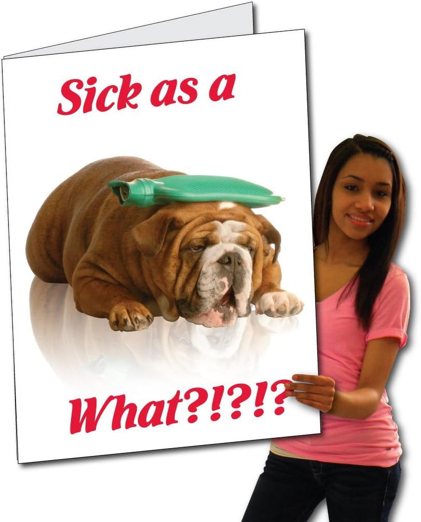 VictoryStore Jumbo Greeting Cards: Giant Get Well Card (Sick as Dog), 2 ...