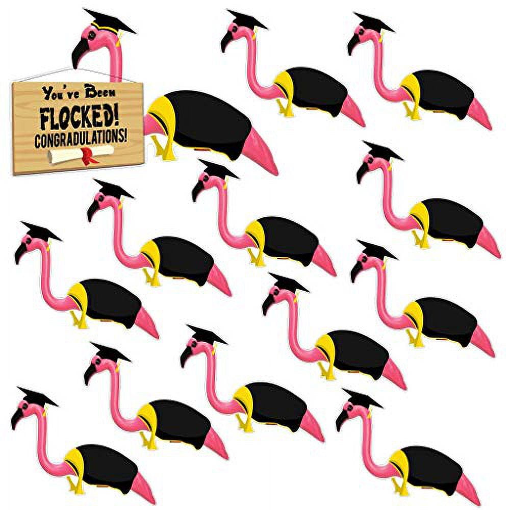 VictoryStore Yard Sign Outdoor Lawn Decorations: Graduation Decorations ...