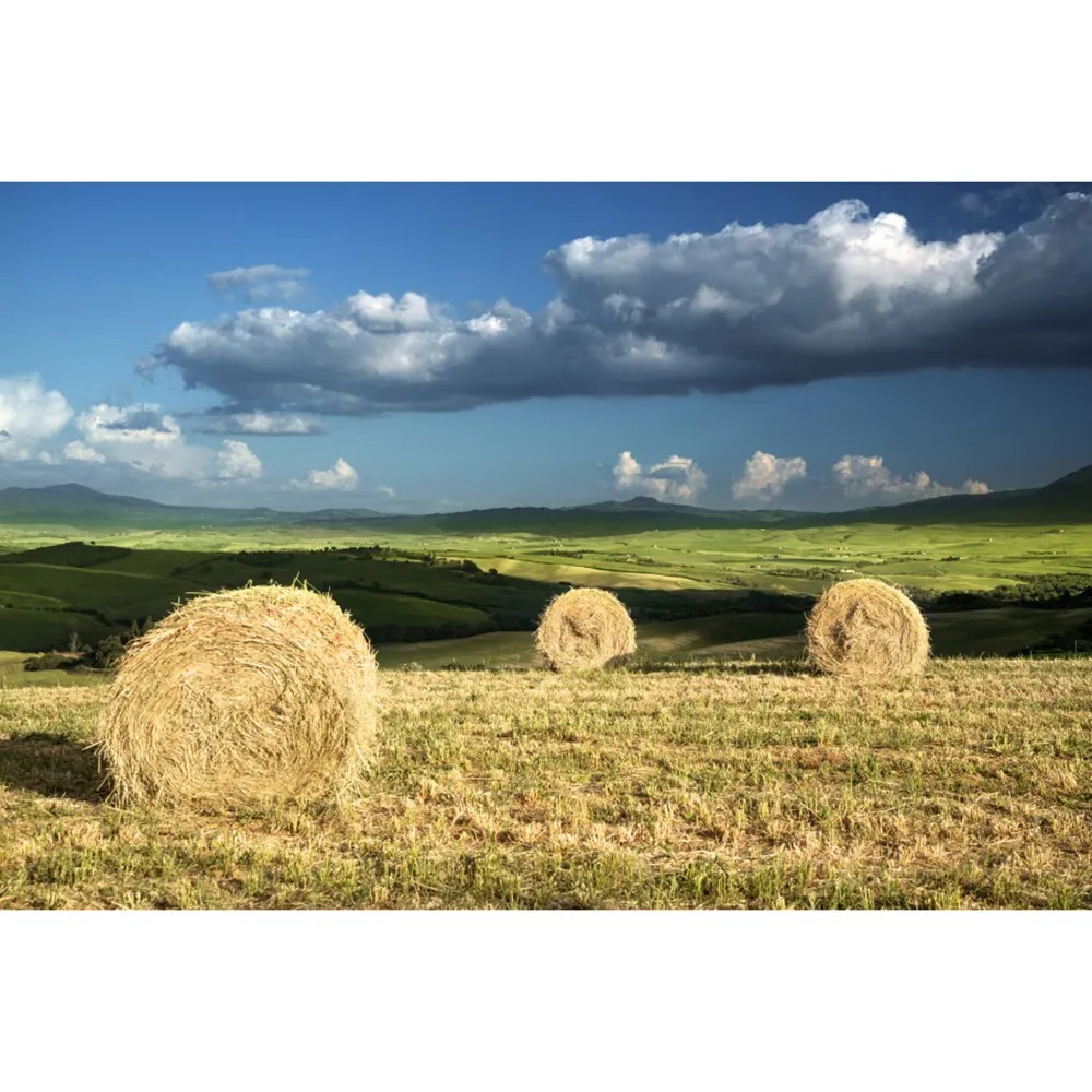 Video Games Backdrop Gamepad Gaming Controller Game On Level Up Gamer ...