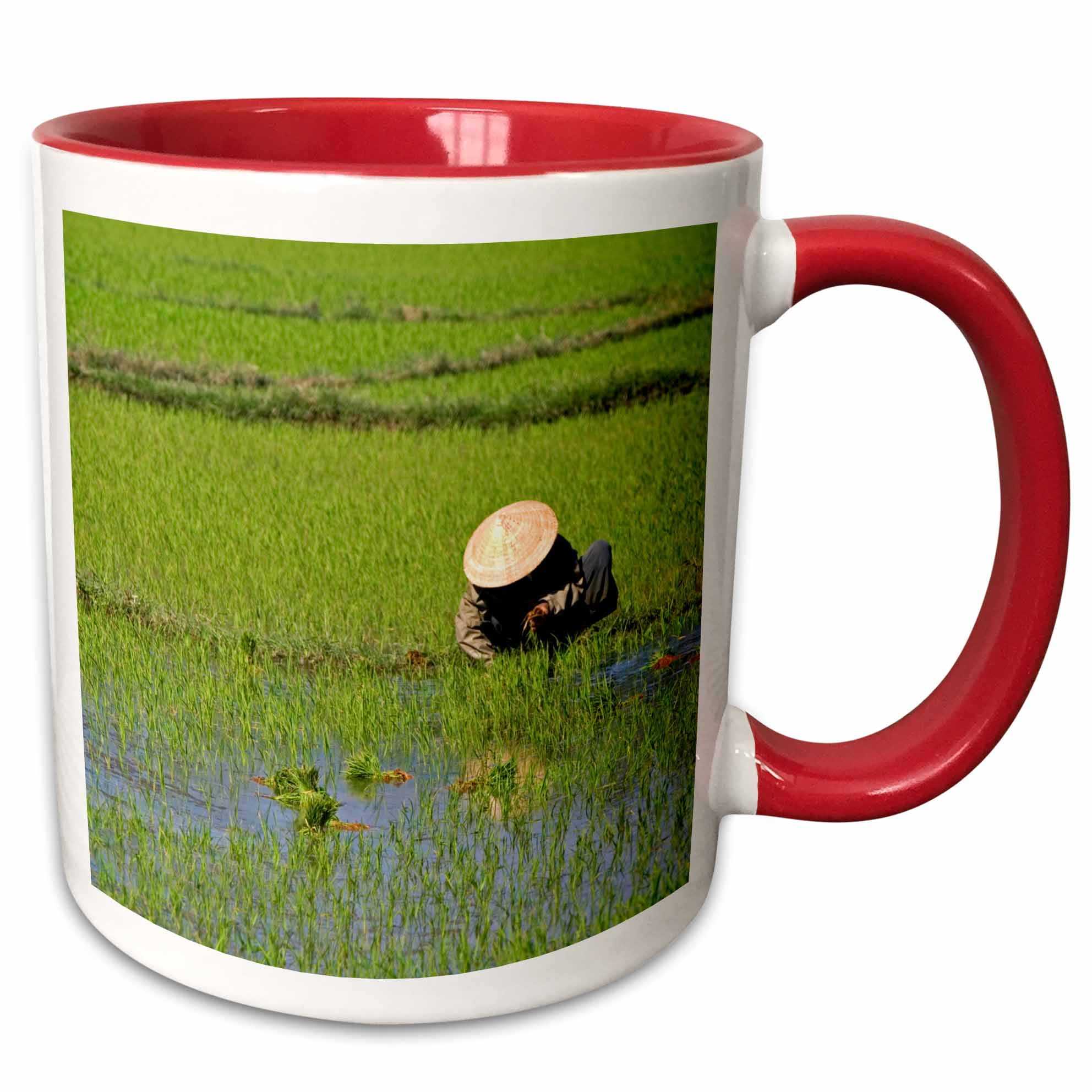 3drose, Vietnamese Farmer, Rice Paddy, Hoi An, Vietnam-as38 Dfr0370 ...