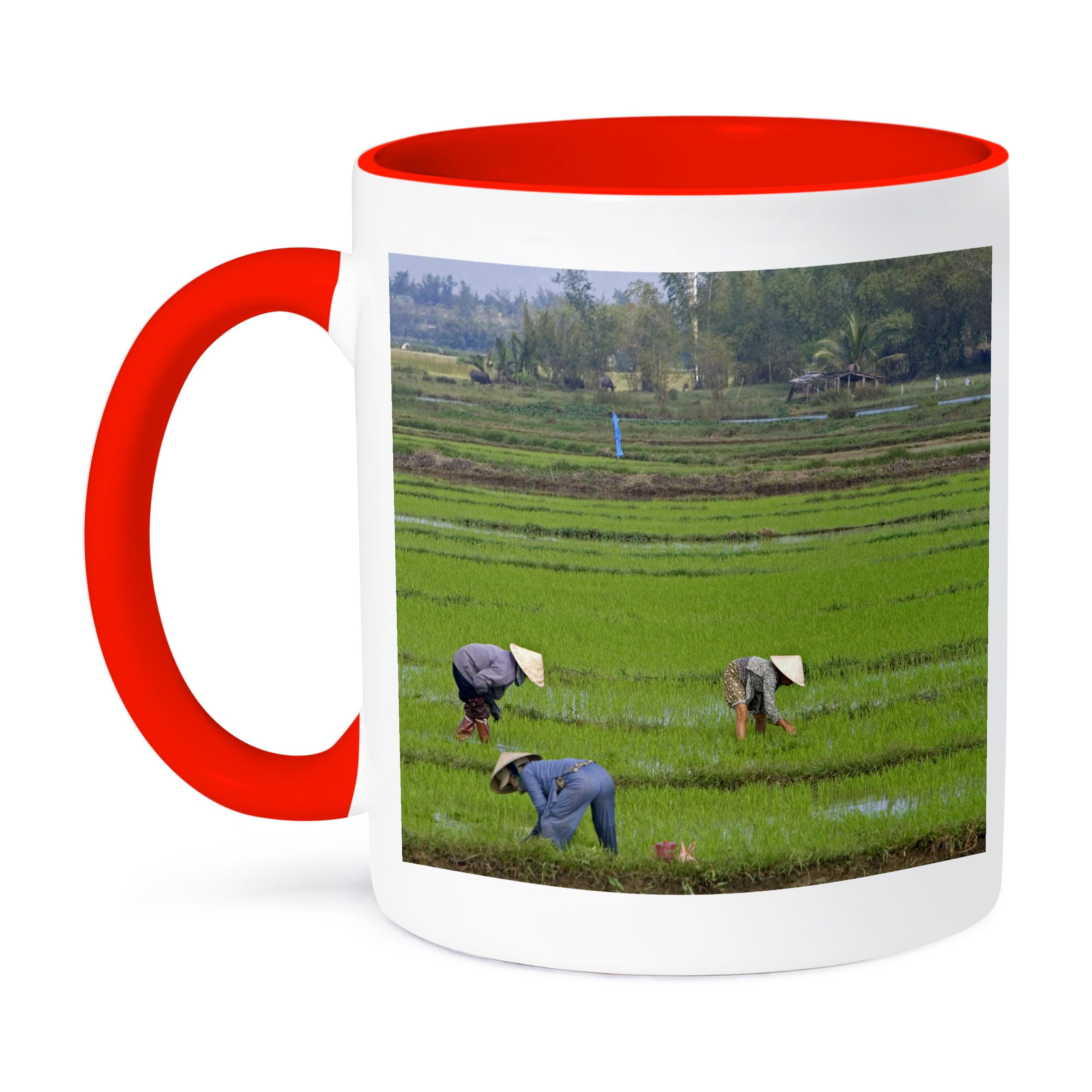 3dRose, Vietnamese farmer, Rice paddy, Hoi An, Vietnam-AS38 DFR0372 ...
