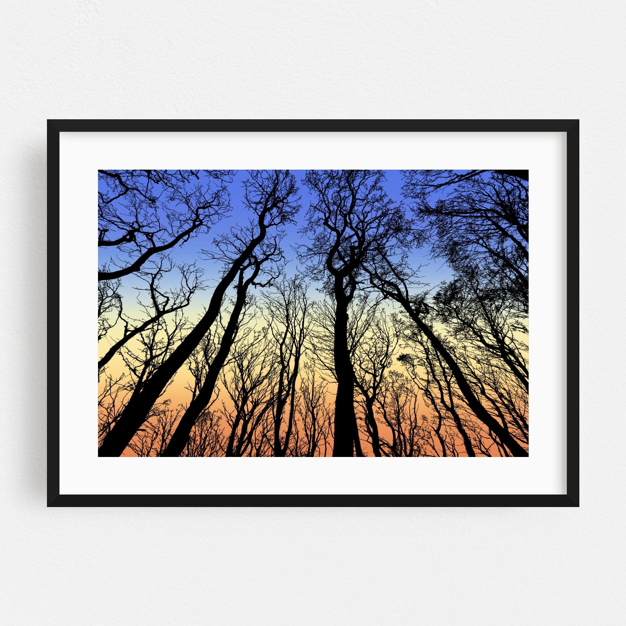 View From The Bottom Of The Forest Trees - Digital Art Silhouette ...