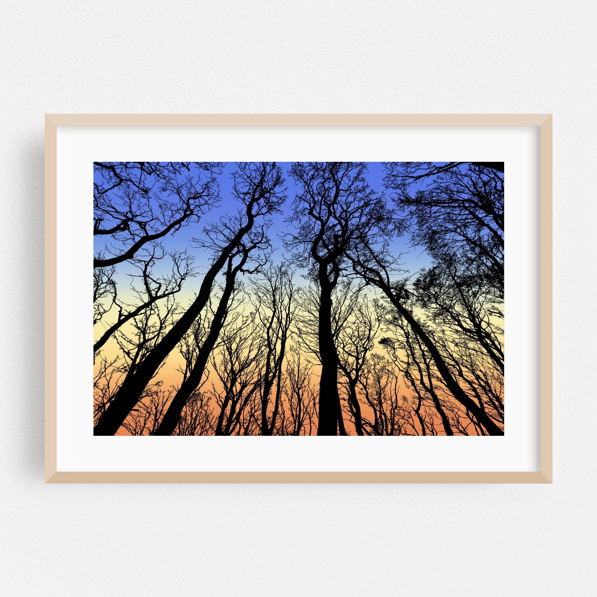 View From The Bottom Of The Forest Trees - Digital Art Silhouette ...