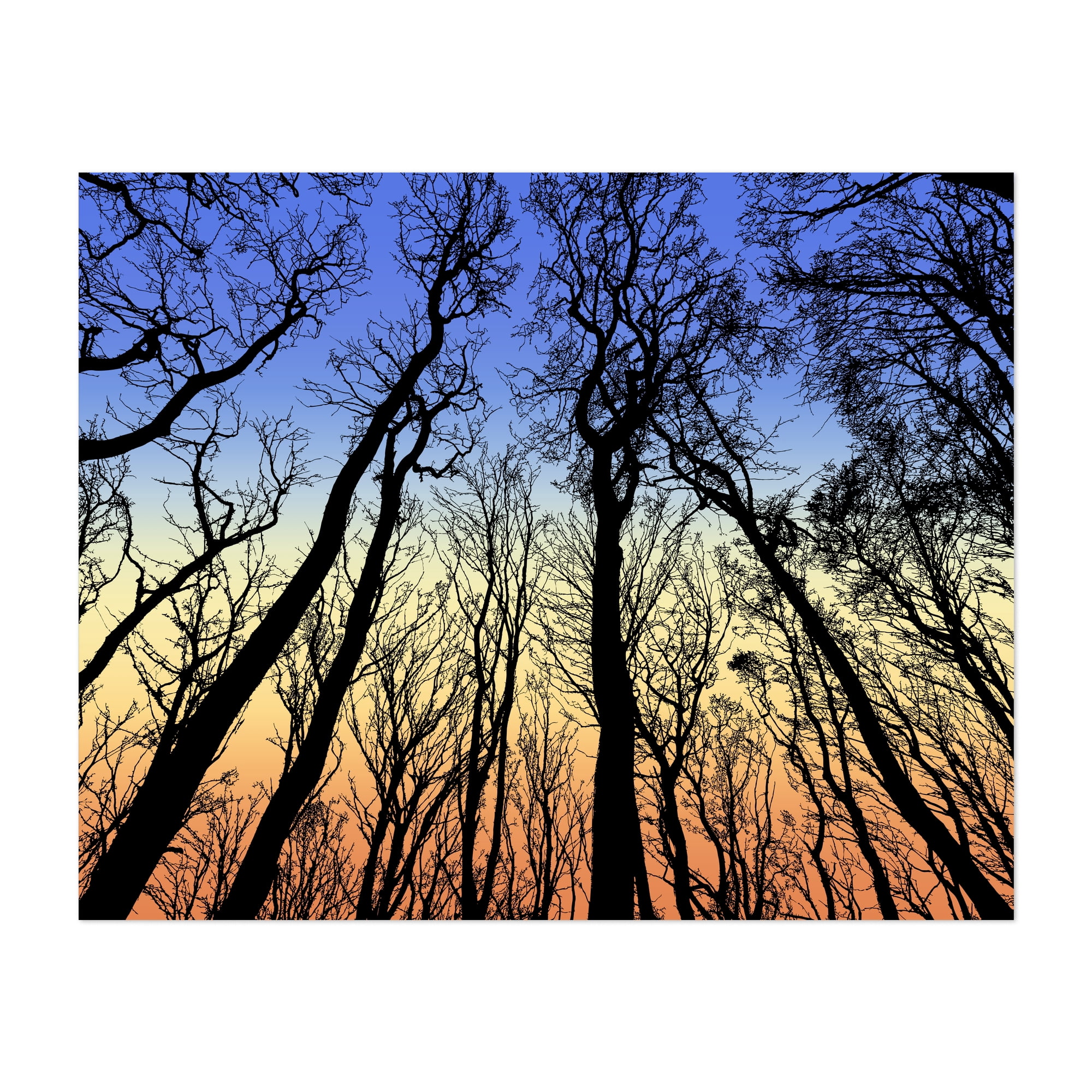 View From The Bottom Of The Forest Trees - Digital Art Silhouette ...