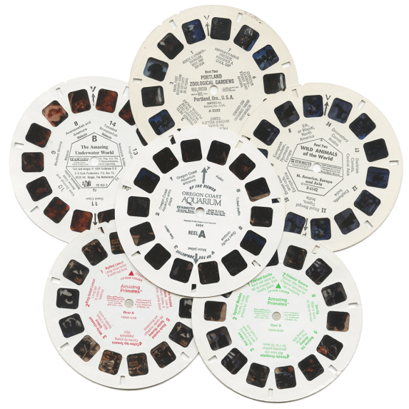 View-Master Animals 6 Reels - Amazing Primates, Wild Animals - Walmart.com