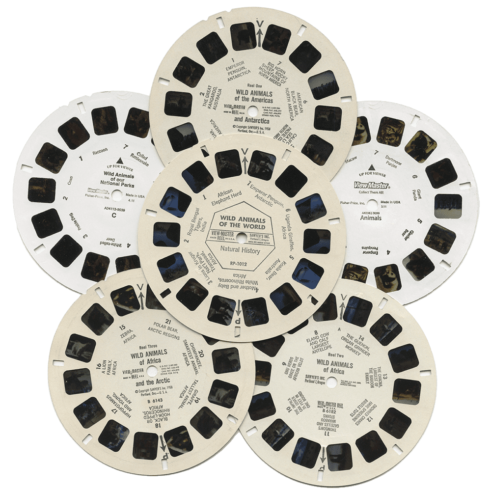 View-Master Animals 6 Reels - Animals, Wild Animals of the World, Wild ...
