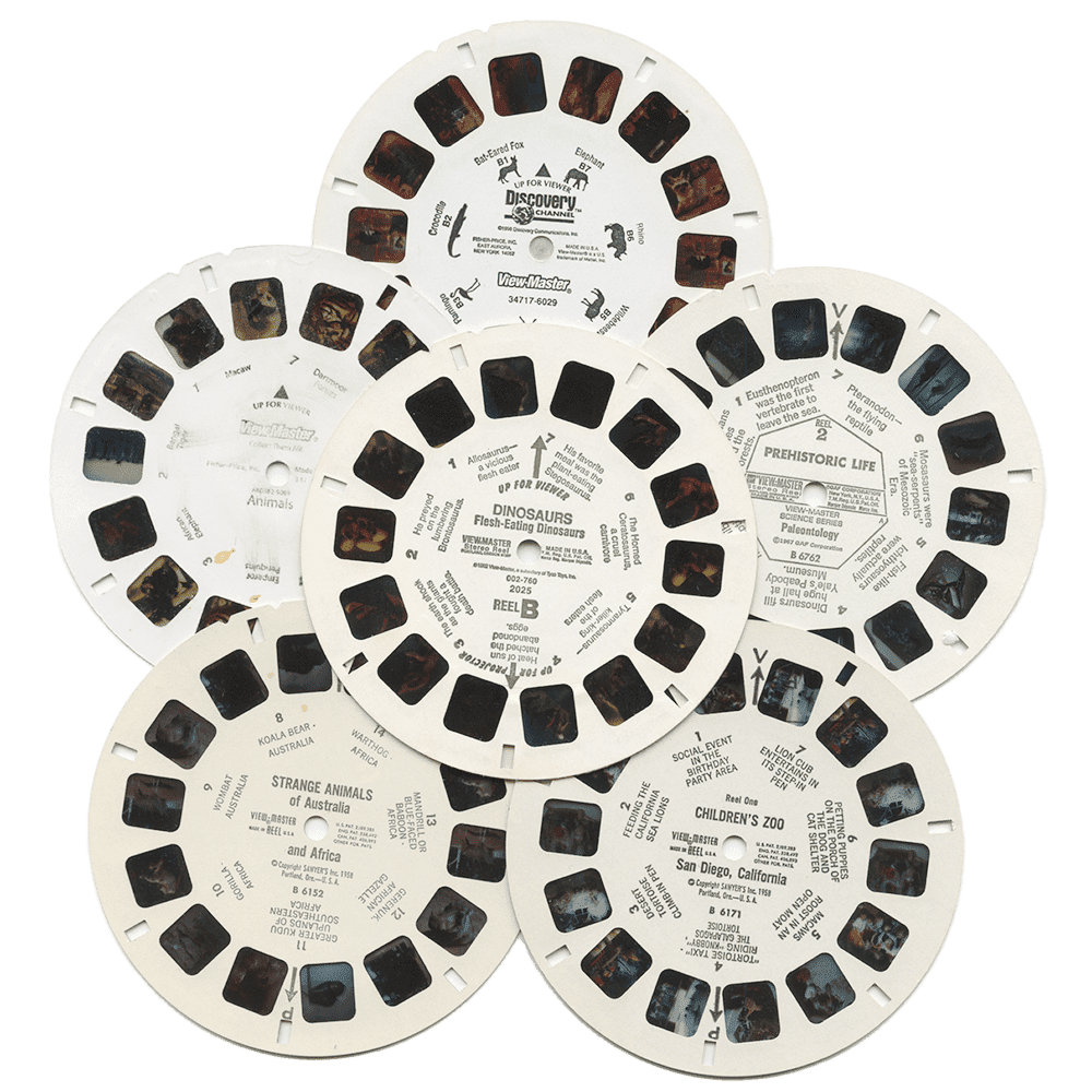 View-Master Animals 6 Reels - Dinosaurs, Animals, Strange Animals of ...