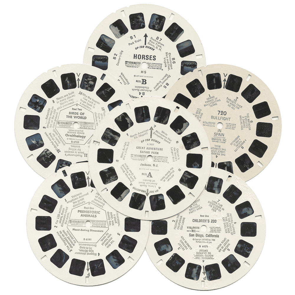 View-Master Animals 6 Reels - Animals & Insects, Pack of 6 - Walmart.com