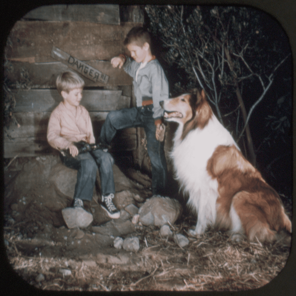 View-Master Movie/TV Show 6 Reels - Lassie and Timmy, James Bond ...