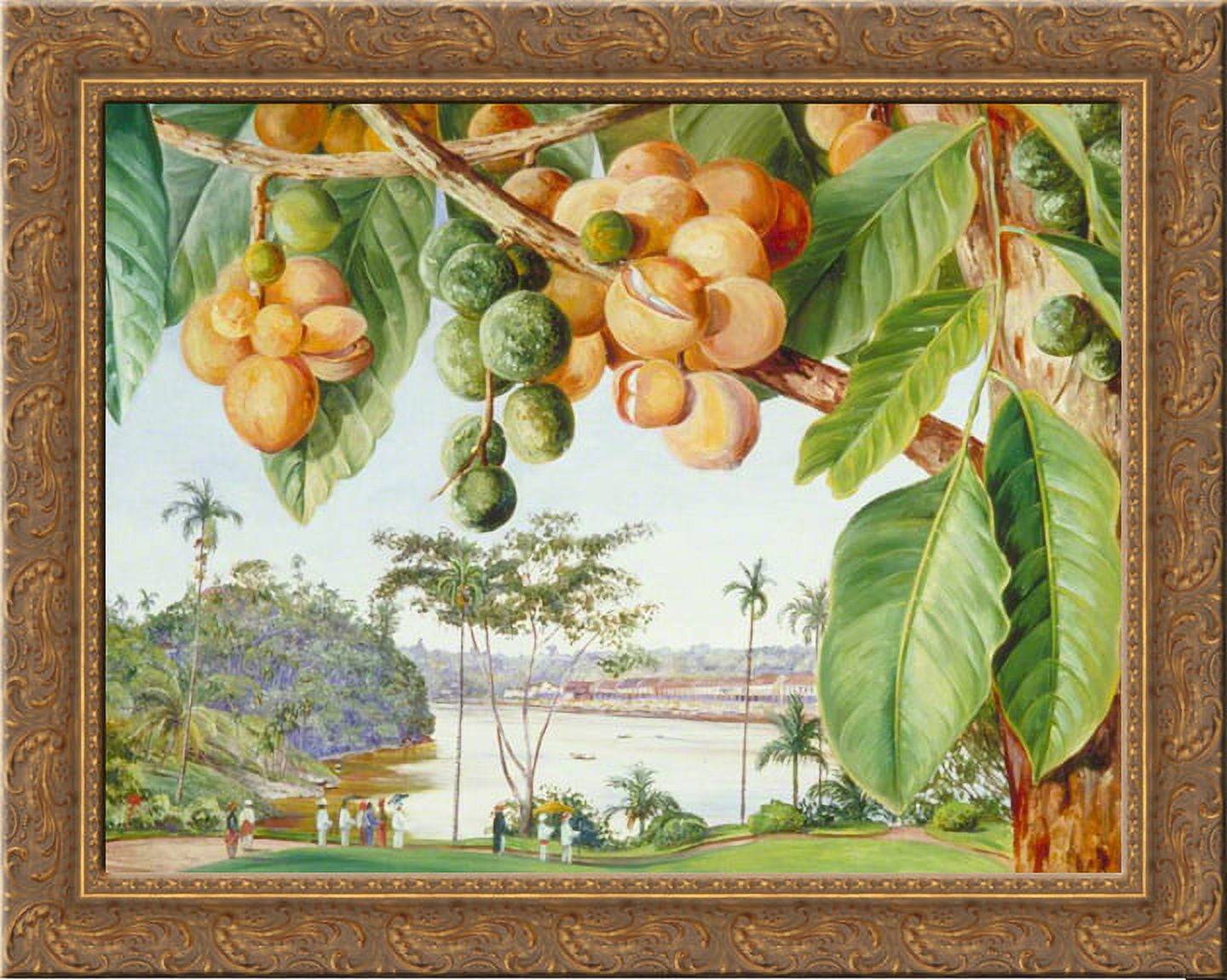 View from the Istana, Sarawak, Borneo 24x20 Gold Ornate Wood Framed ...