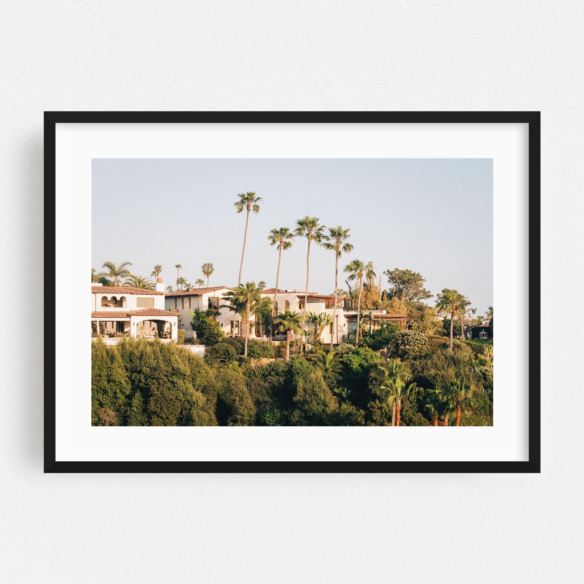 Views from La Rambla, San Clemente 02 - San Clemente California Photography Beach House Palm ...