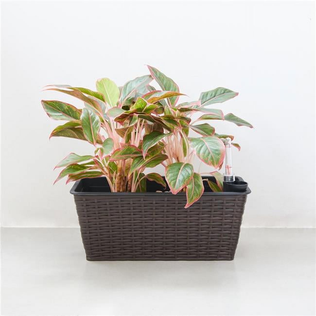 Vifah Yaddo Thin Rectangular Smart Self-Watering Planter-Color:Espresso ...