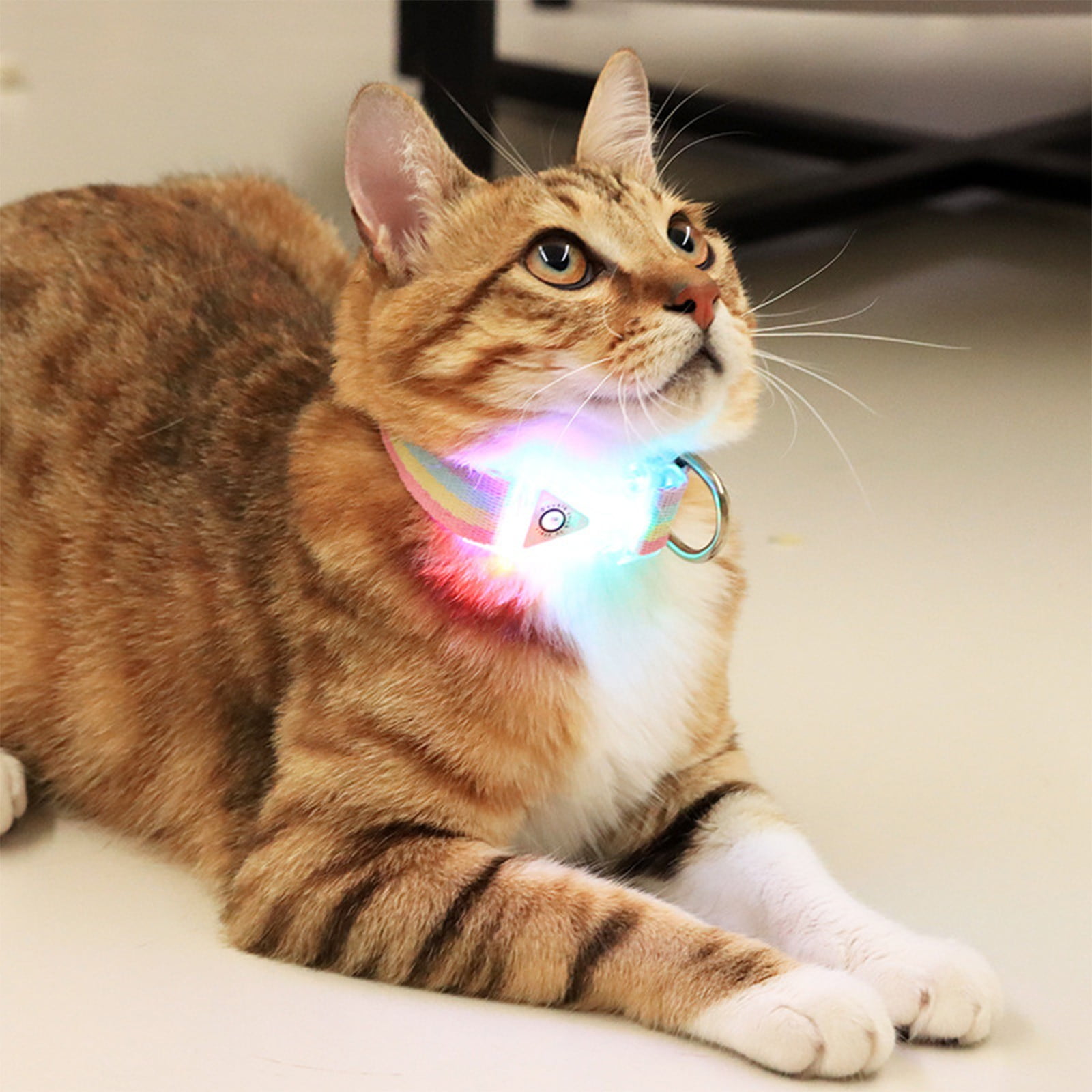 Viflosae LED Light Up Cats Collar Soft Adjustable Cuttable Pet Collar 9 Flashing Modes High ...