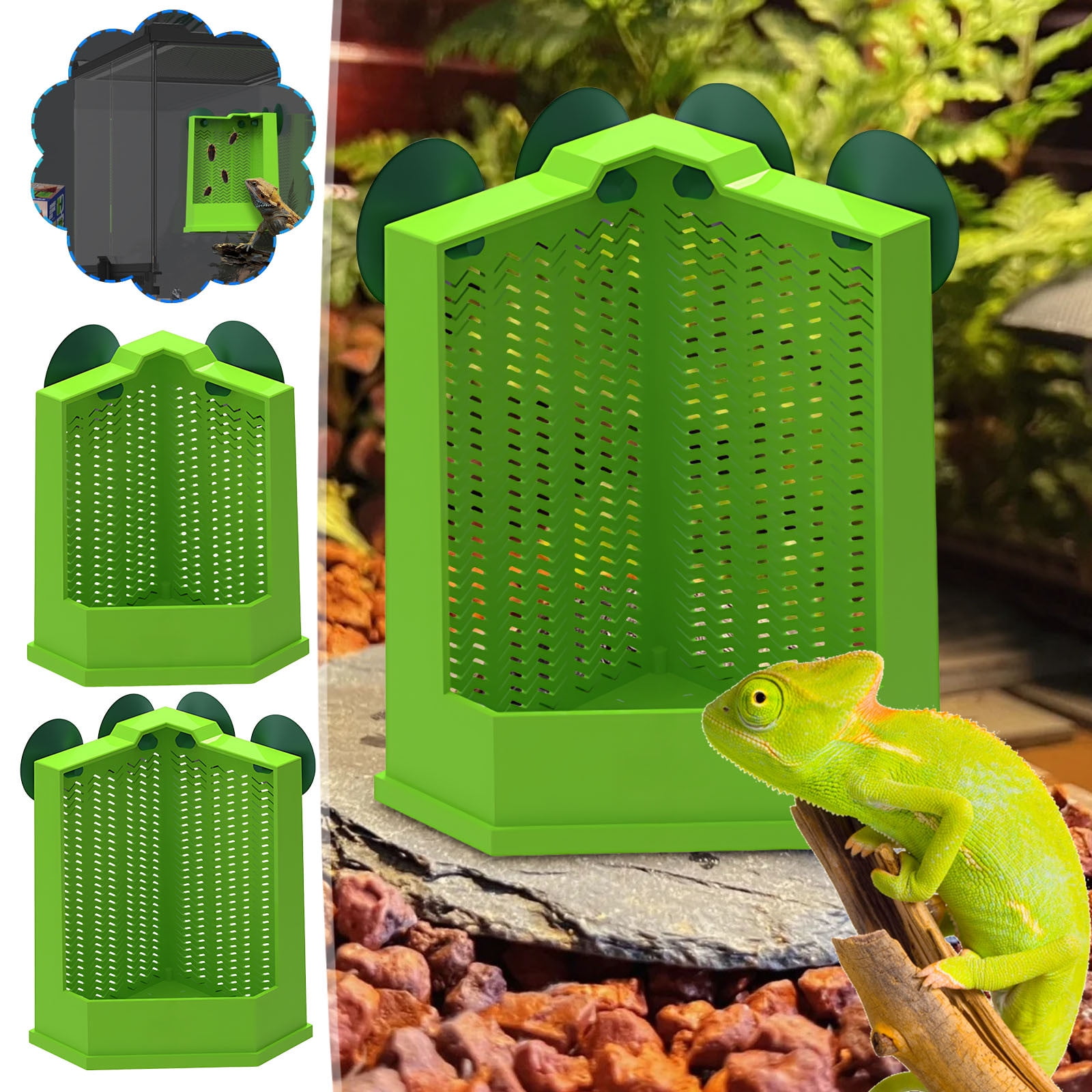 Viflosae Lizard Feeder with Suction Cup Hanging Reptile Gecko Feeding ...