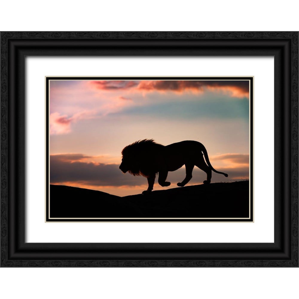 Vigo, Mario 18x14 Black Ornate Wood Framed with Double Matting Museum ...