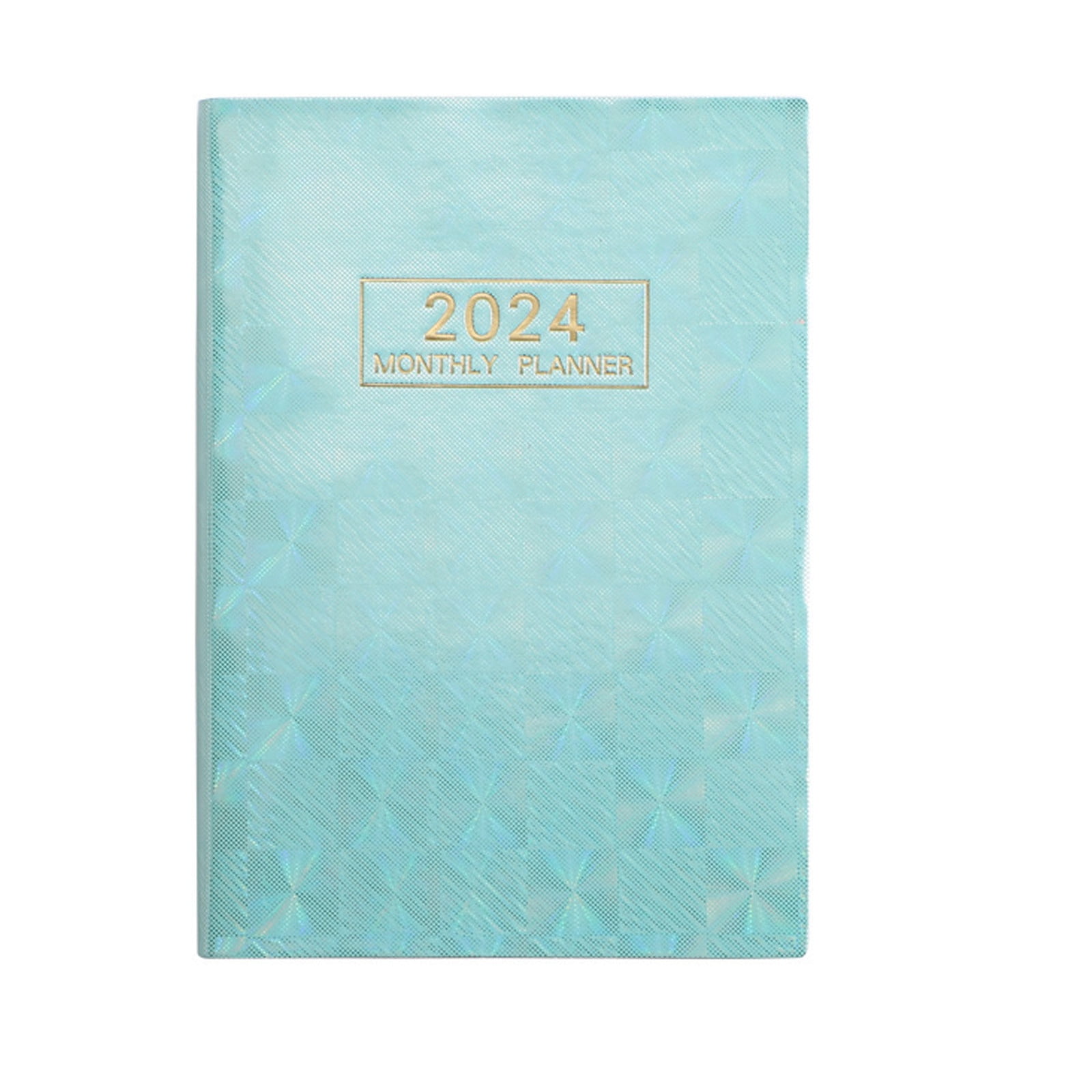 Vikakiooze 2024-2025 Monthly Planner and Calendar Book,A5 Efficiency ...