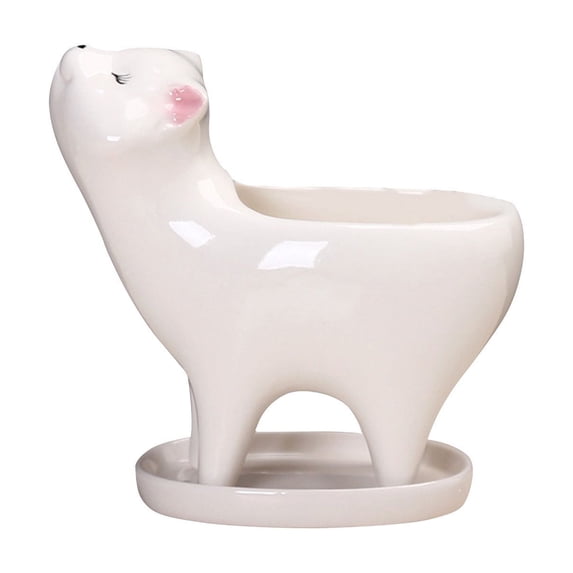Vikakiooze Gardening Cats Tail Succulent Cactus Ceramic Flower Pot ...